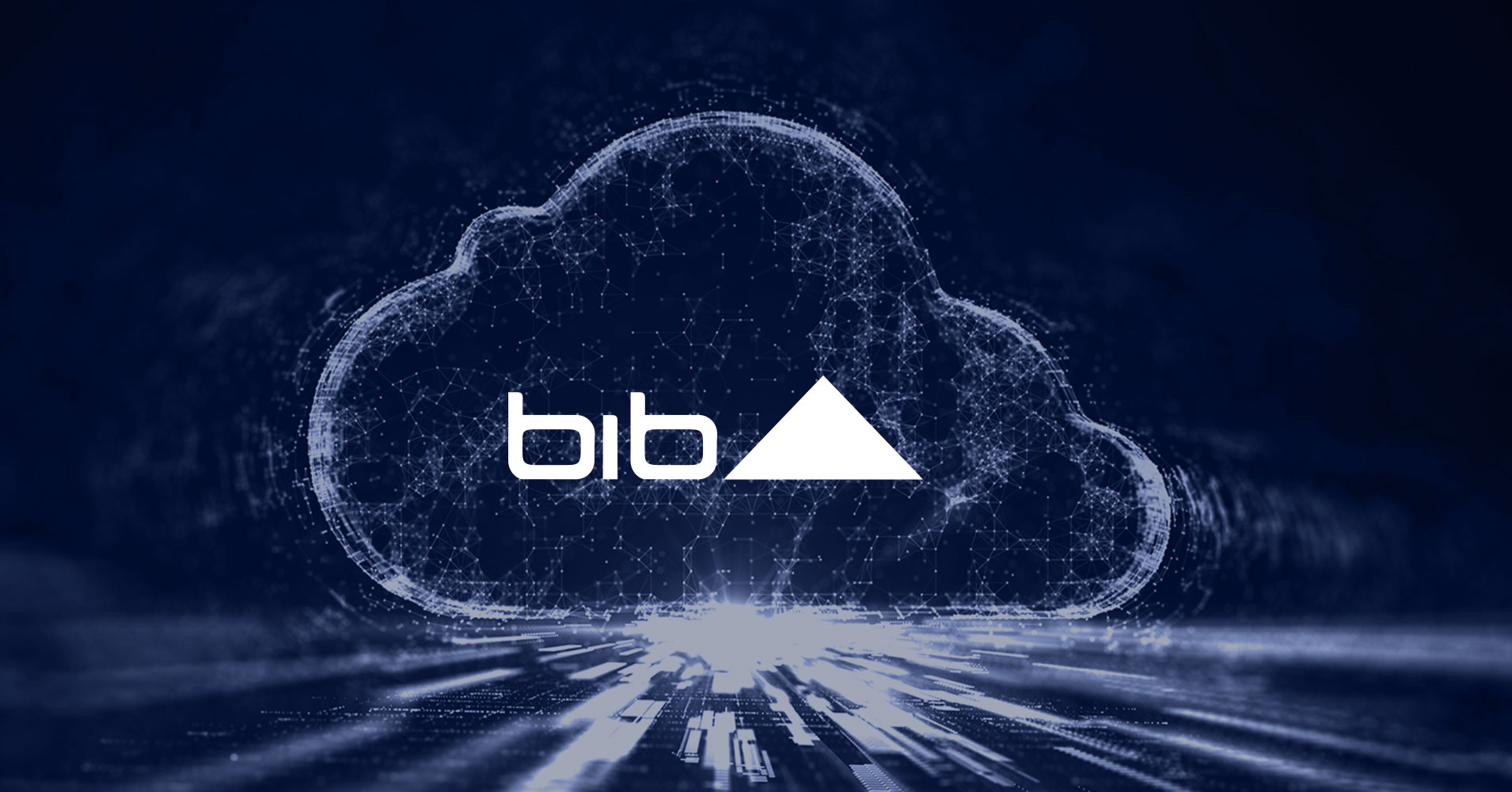 Updates, Support-Tools & Downloads für BIB-Kunden & BIM-Interessierte